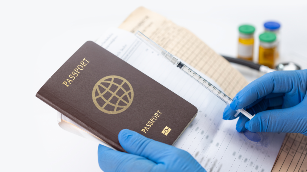The Essentials of a Comprehensive Travel Health Plan - First Care ...